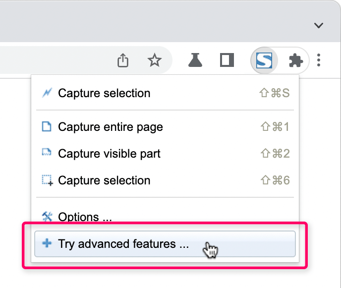 Congratulations, FireShot has been updated!